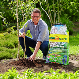 FLORAGARD Pflanzerde »Florahum®«, für Gartenpflanzen, Gemüse, Stauden ...